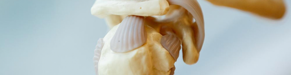 A child’s ACL tear – It’s not just another ACL - Micheal Stening